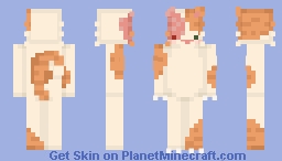 Cat Base Minecraft Skin