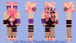 Standard Minecraft Skin