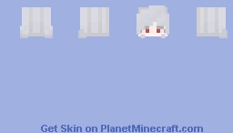 Little Head Minecraft Skin