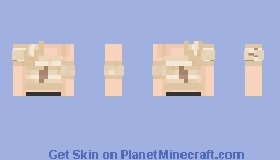 Bandages Minecraft Skin