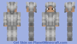 gray cat Minecraft Skin
