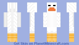 HONK Minecraft Skin