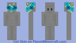 . Flower Crown . Minecraft Skin