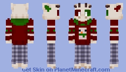 🥥 Minecraft Skin