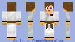 Karate Ninja Minecraft Skin