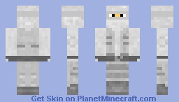arctic commando Minecraft Skin