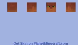 Head: Cathar (Aric Jorgan) Minecraft Skin
