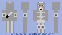 town guard Minecraft Skin