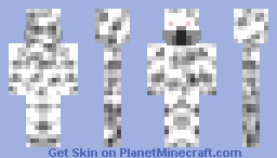 Arctic Warrior Minecraft Skin