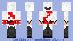 Assassin Minecraft Skin