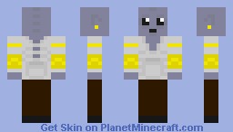 Avernite Minecraft Skin
