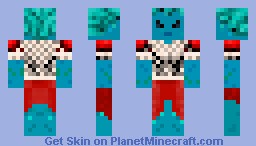 Baravion warrior Minecraft Skin