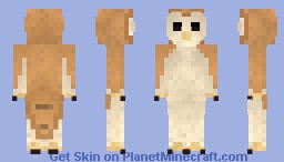 Barn Owl Minecraft Skin