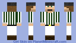 Baseball Fan Minecraft Skin