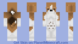 Tricolor beagle v1 Minecraft Skin