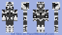 Black Guard ~ NiteFlyer Minecraft Skin