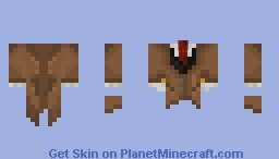 brown coat (steve) Minecraft Skin