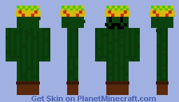 BumboCactoni Minecraft Skin