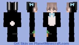 Fitz Minecraft Skin