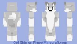 sdsdsd Minecraft Skin