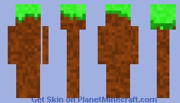Dirt Minecraft Skin
