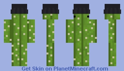 Calic Cat Minecraft Skin