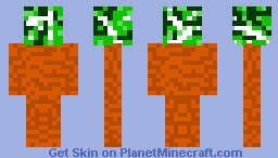 Carrot Minecraft Skin