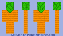 carrot Minecraft Skin