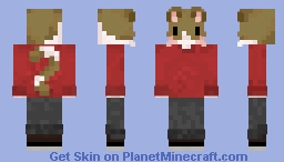 Cat Grian Minecraft Skin