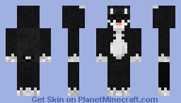 cool cat Minecraft Skin