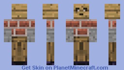 Minecraft Ninja Hidden Minecraft Skin