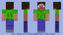 Steve Woman Minecraft Skin