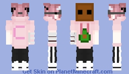 coco Minecraft Skin