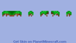 Common Cape Armlets (Steve) beta Minecraft Skin