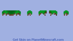 Common Cape Armlets (Steve) Minecraft Skin