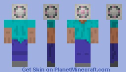 Companion Steve Minecraft Skin