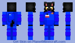 Nasa Crew Cat Minecraft Skin