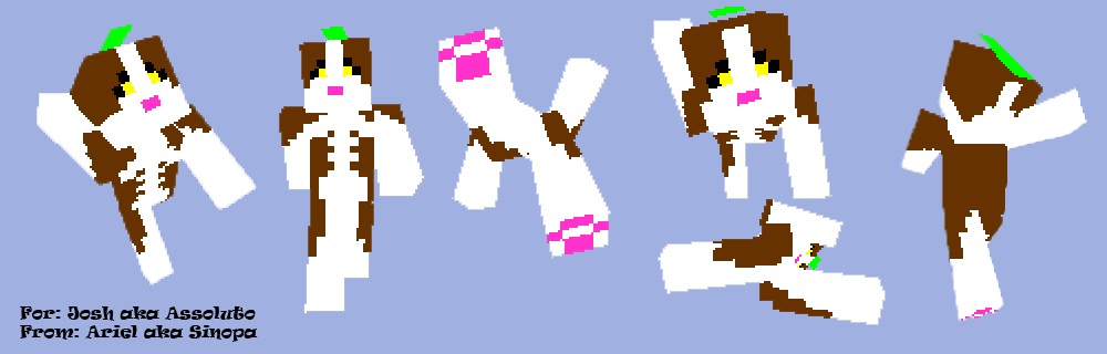 Custom Skin Minecraft Project