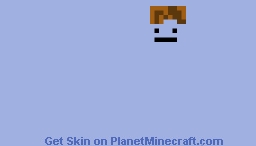 head only Minecraft Skin