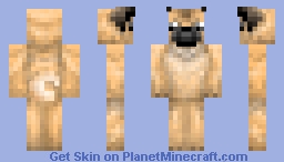 Dog Minecraft Skin