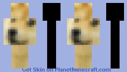 Doge Minecraft Skin