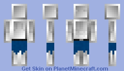 Metal Skin Minecraft Skin