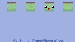 Turtle head Minecraft Skin