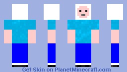 fin Minecraft Skin