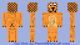 lion Minecraft Skin