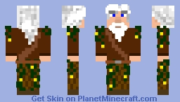 Gaulish Druid Minecraft Skin