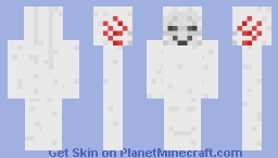 Wa Minecraft Skin