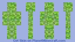Grass Guy! Minecraft Skin