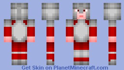 guard Minecraft Skin