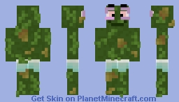 Hashbrick Star Minecraft Skin